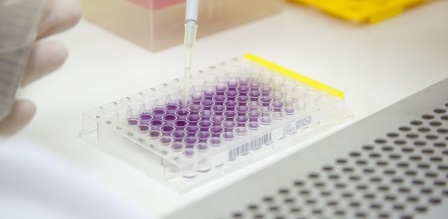 Pós-Graduação – FCFRP